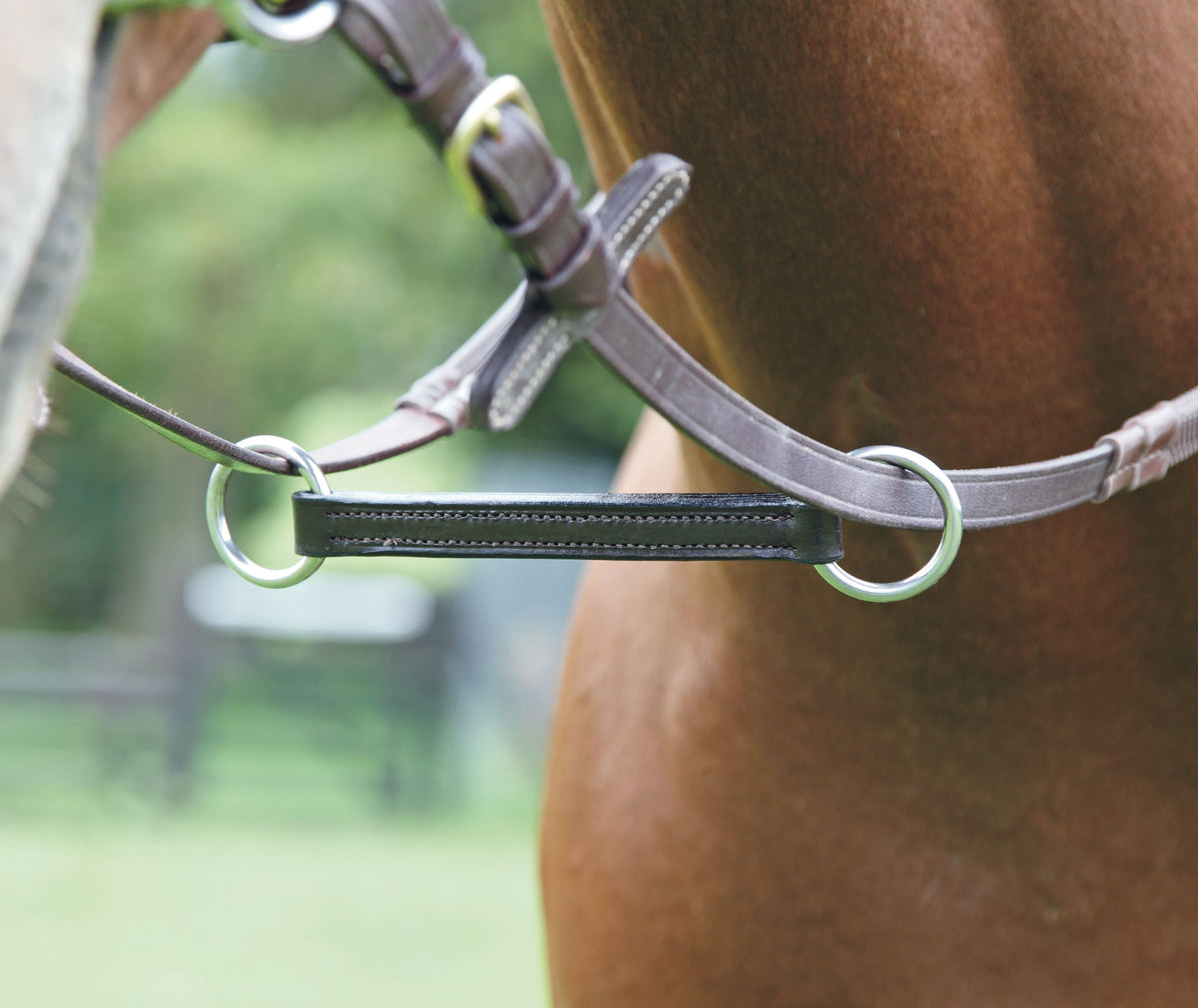 Blenheim Irish Martingale – Bits & Boots Saddlery 香港馬具專門店